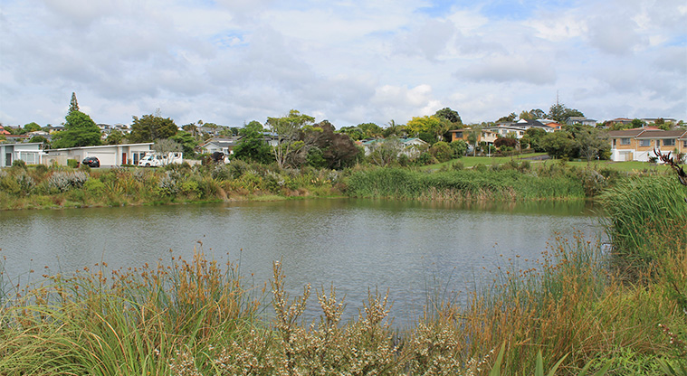 Albatross Reserve