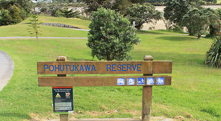 Pōhutukawa Reserve