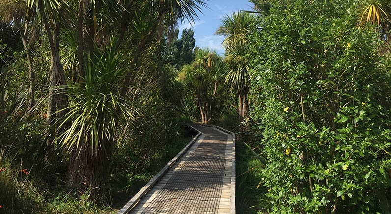 Walmer Reserve North