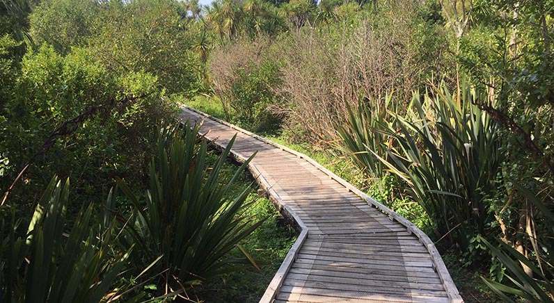 Walmer Reserve North