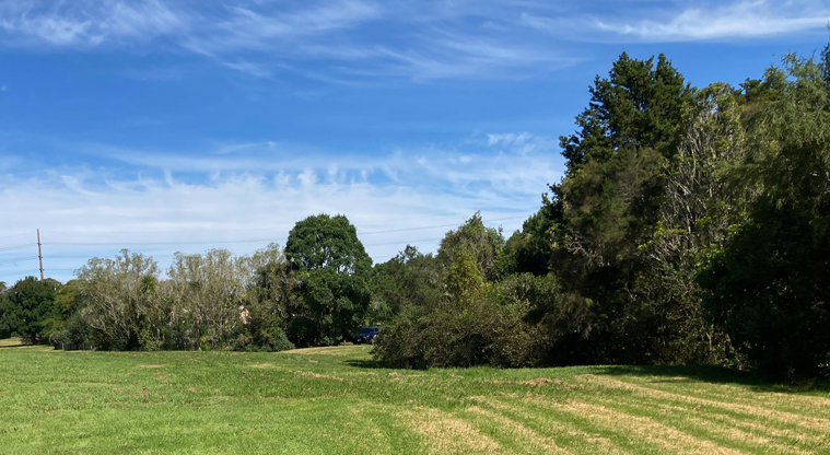 Northwood Reserve Loop Path - Flat loop walk