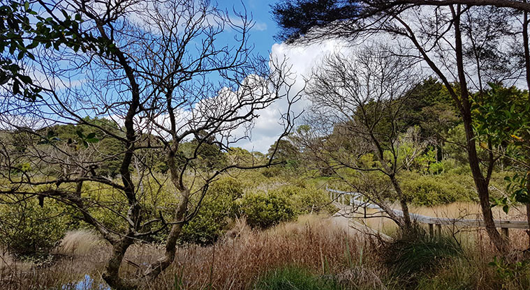 Ōmana Perimeter Track – coastal walks in Auckland