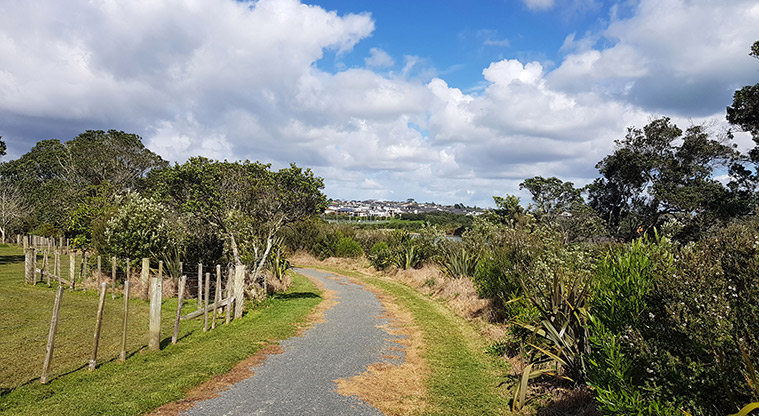 Ōmana Perimeter Track – coastal walks in Auckland