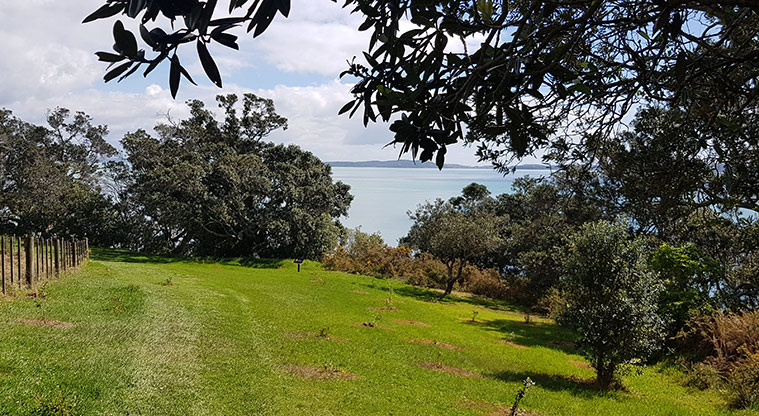 Ōmana Perimeter Track – coastal walks in Auckland