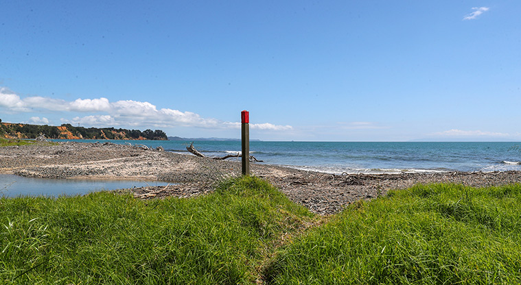 Tāpapakanga Regional Park