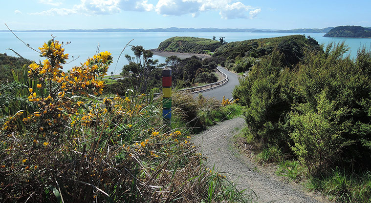 Waitawa Kōtare Loop – walks around Auckland