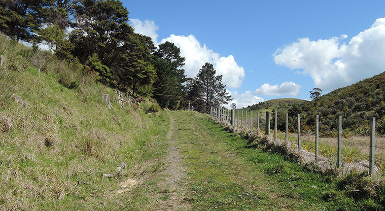 Waitawa Kōtare Loop – walks around Auckland